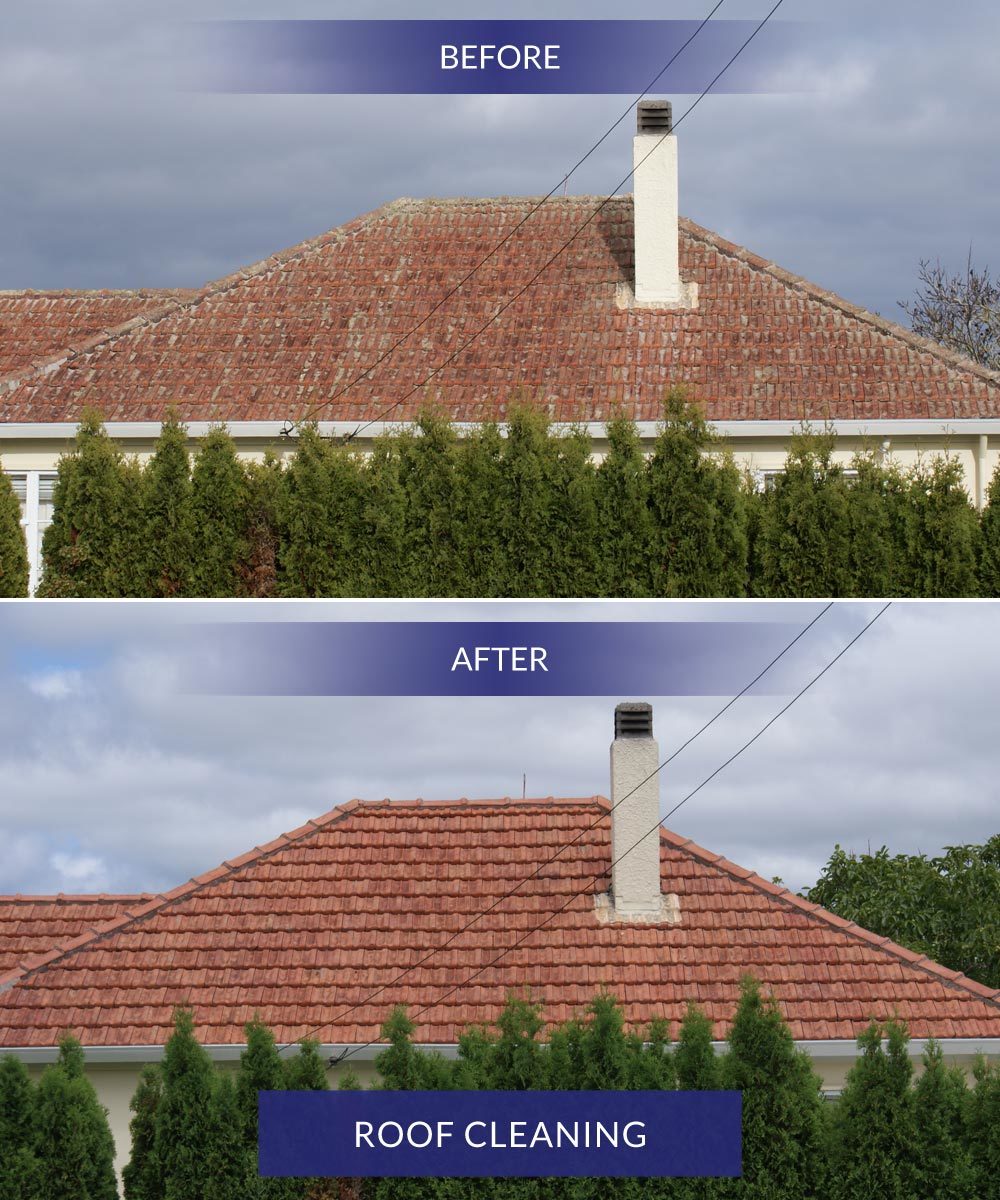 House washing Auckland | Roof cleaning North Shore